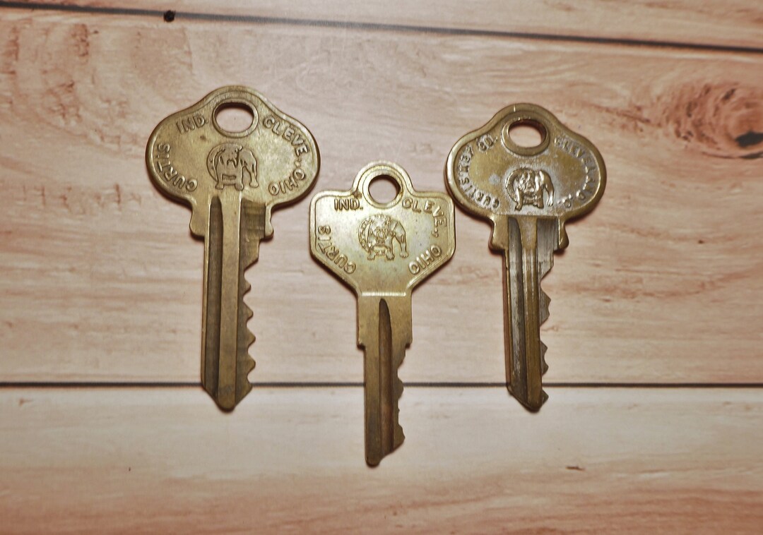 Vintage Brass Curtis Bulldog Keys Set of 3 Collectible Keys Vintage ...