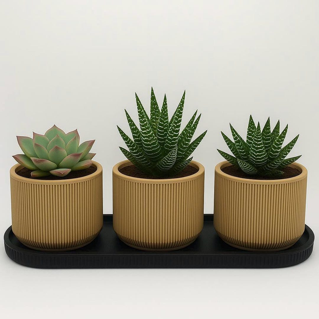 Modern Mini Planter Set: Tan Pots With Black Tray, Drainage - Etsy