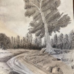 Tree Covered Path - Etsy