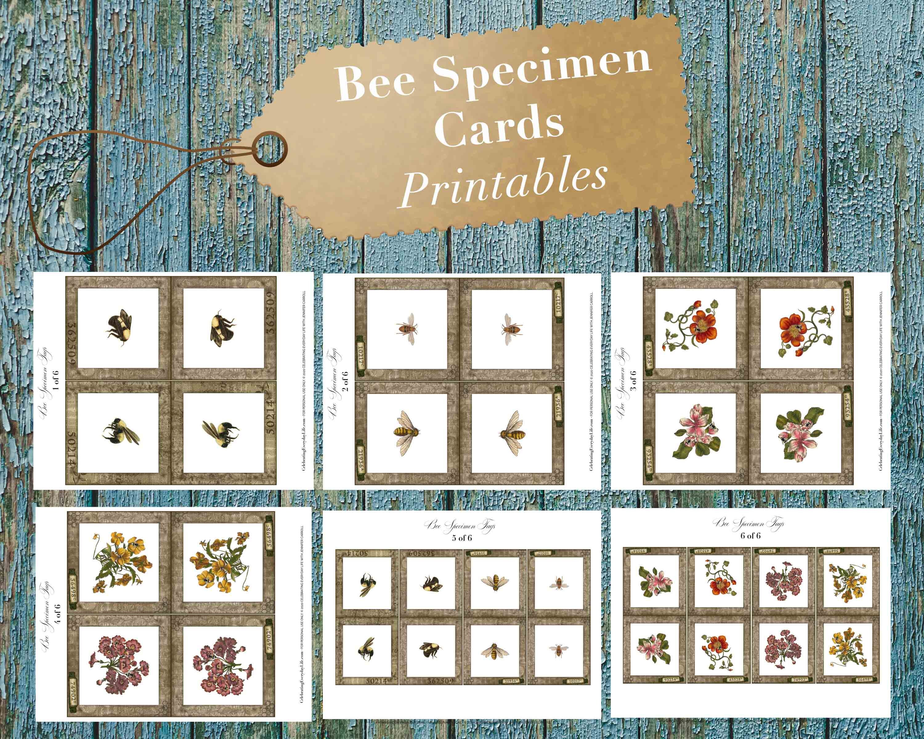 Bee Specimen Card Printables for Junk Journals - Etsy