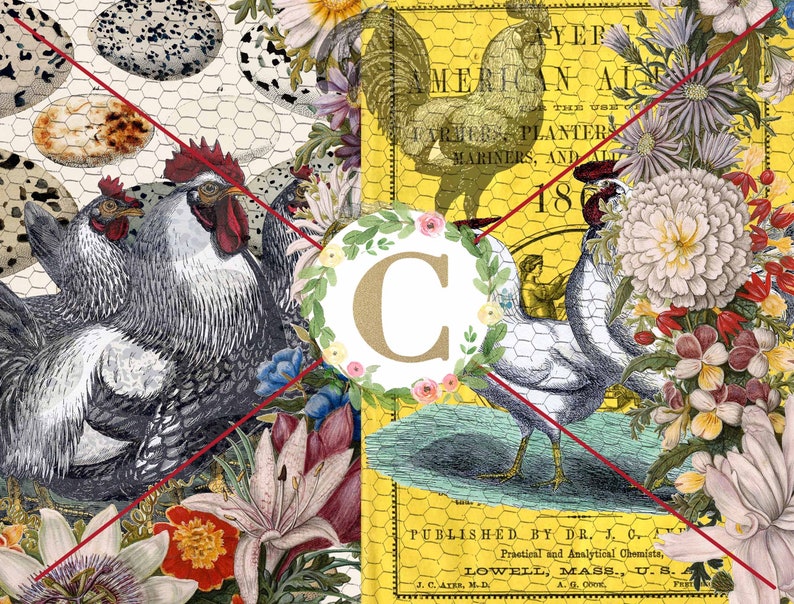 Chicken Journal Cover Design for Junk Journals - Etsy