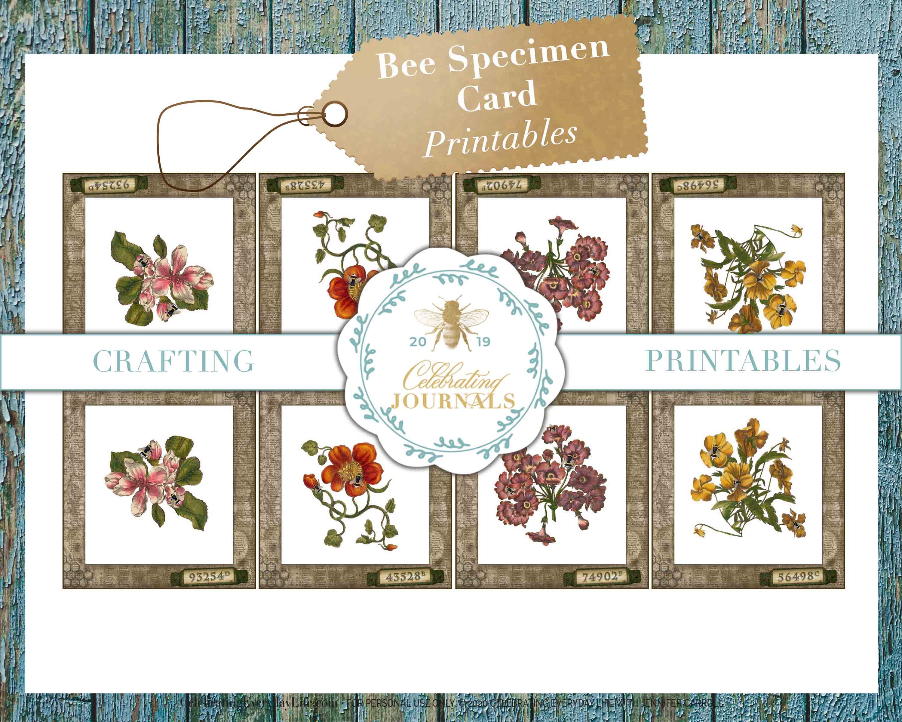 Bee Specimen Card Printables for Junk Journals - Etsy