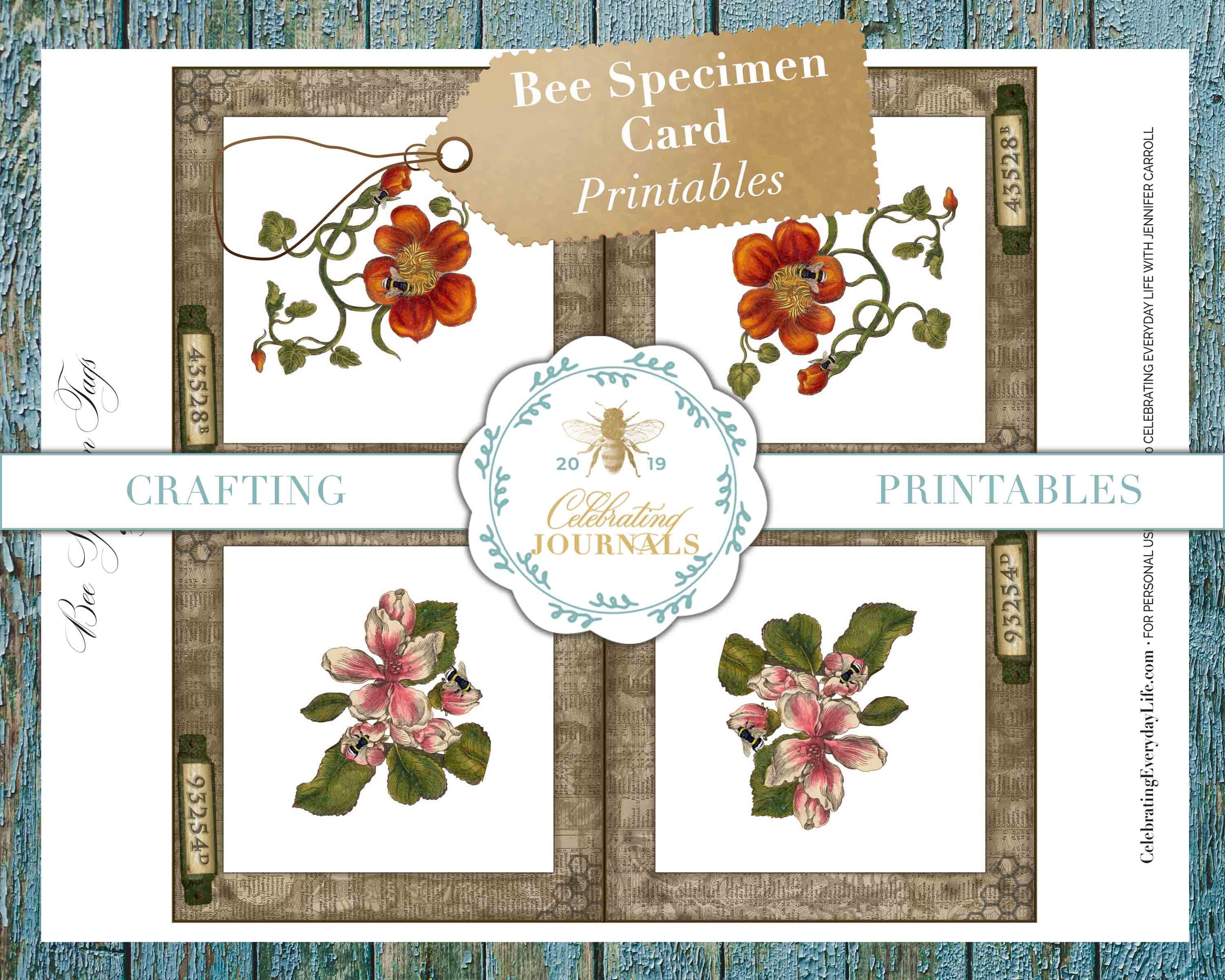 Bee Specimen Card Printables for Junk Journals - Etsy