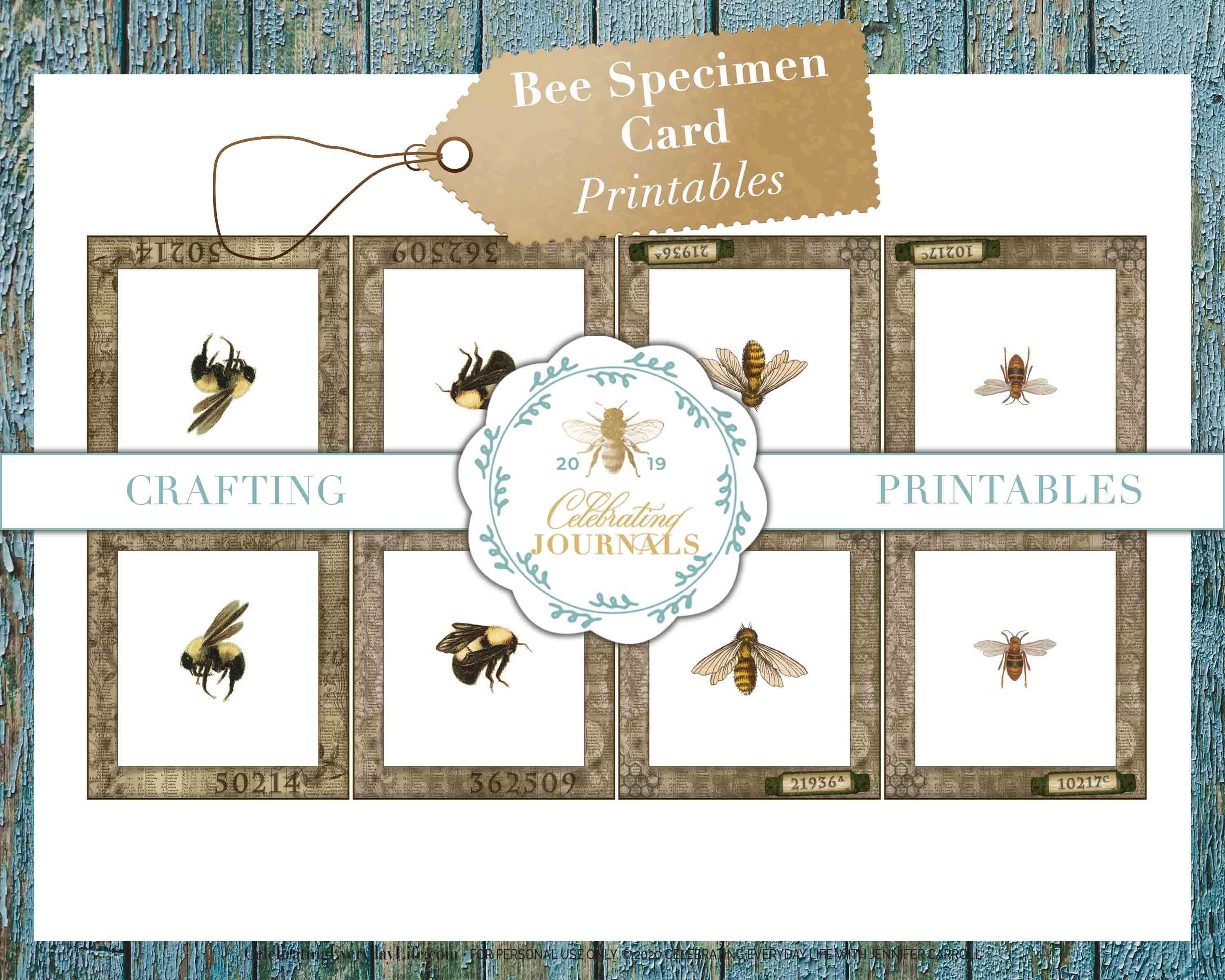 Bee Specimen Card Printables for Junk Journals - Etsy