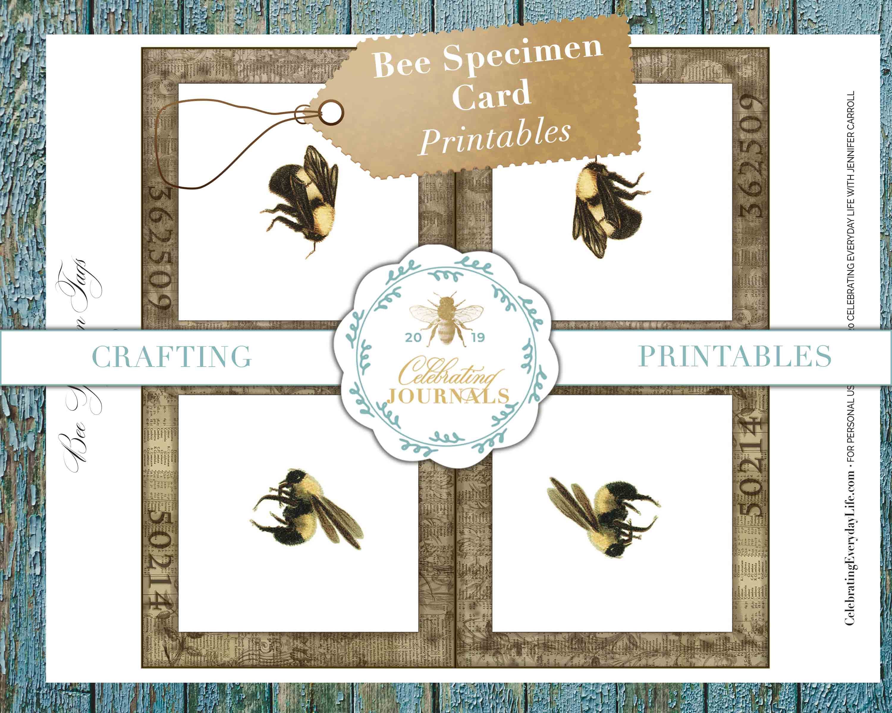 Bee Specimen Card Printables for Junk Journals - Etsy