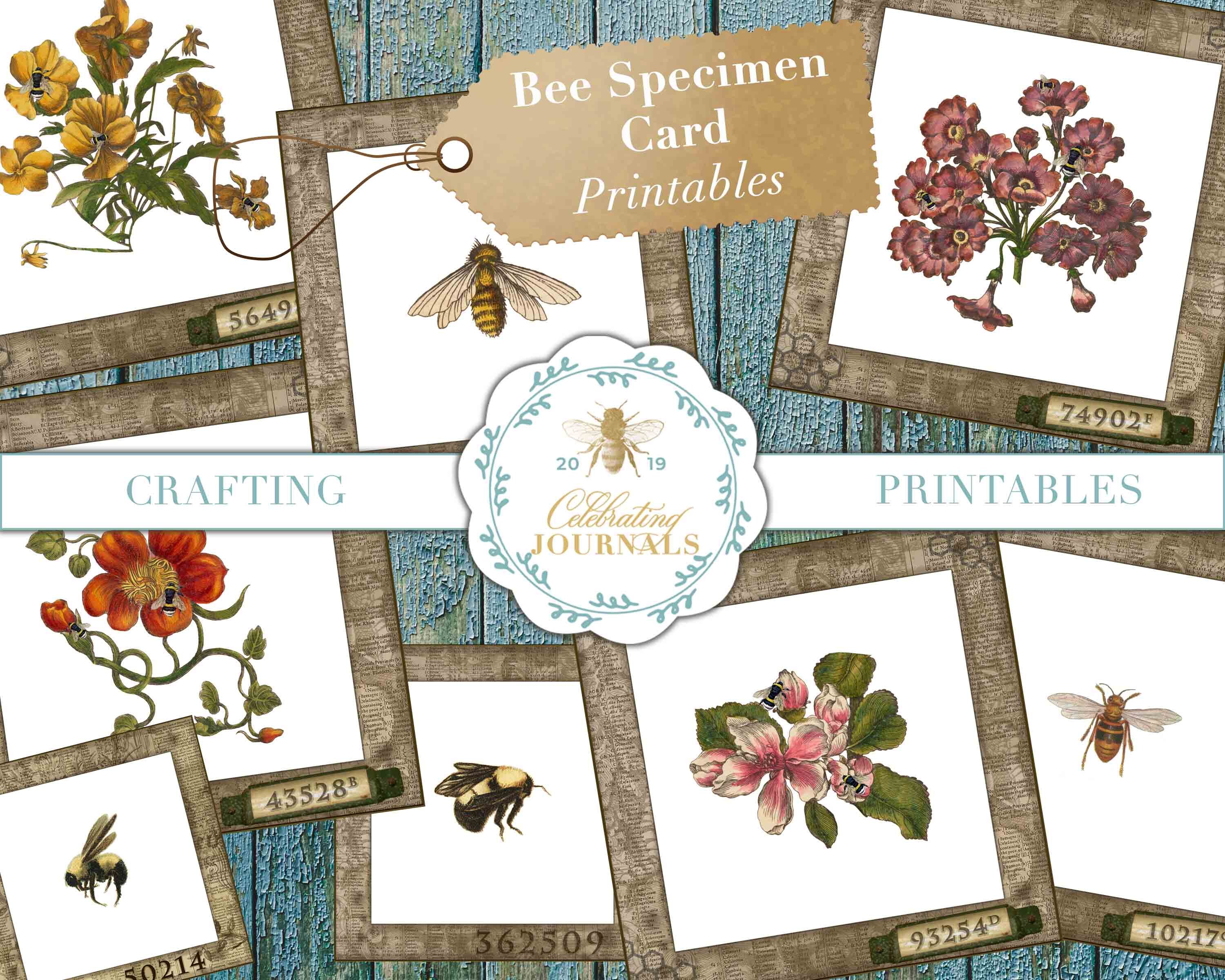 Bee Specimen Card Printables for Junk Journals - Etsy