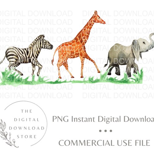 Safari Baby Animals Clipart / Jungle Animals Clipart / Zoo - Etsy Australia