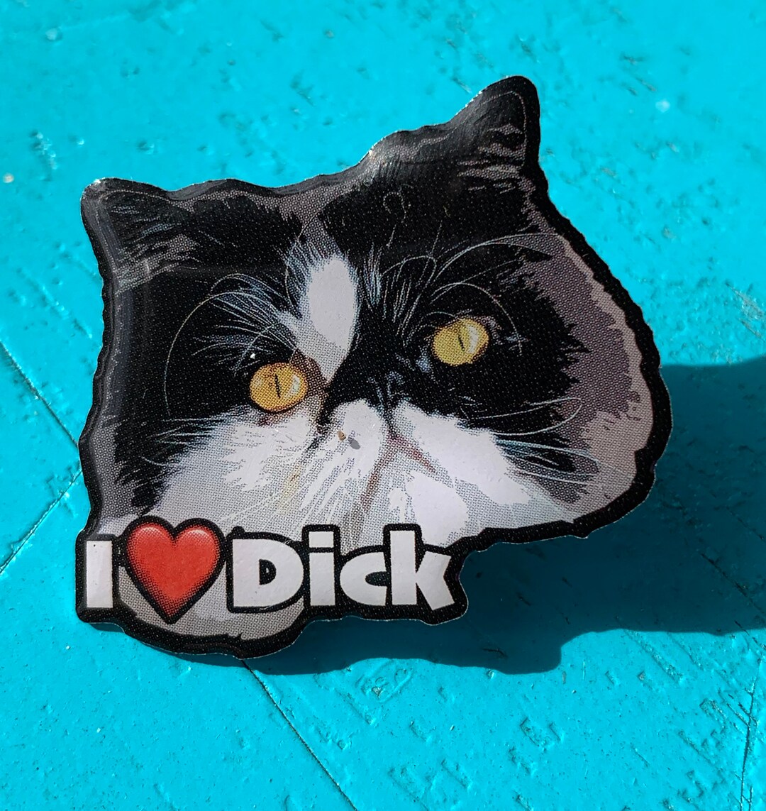 I Love Dick 1 25 Inch Soft Enamel Pin Get Your Limited Etsy