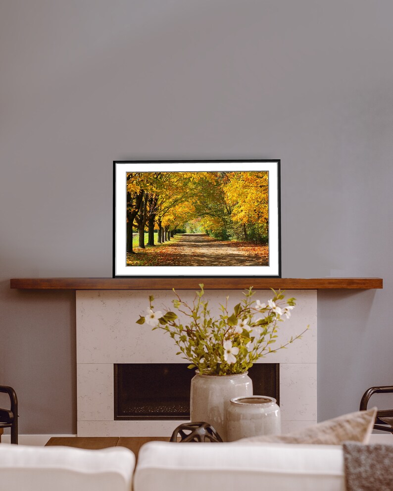 Printable Photo of a Tree Covered Lane in Autumn, Photograph, Wall Art ...