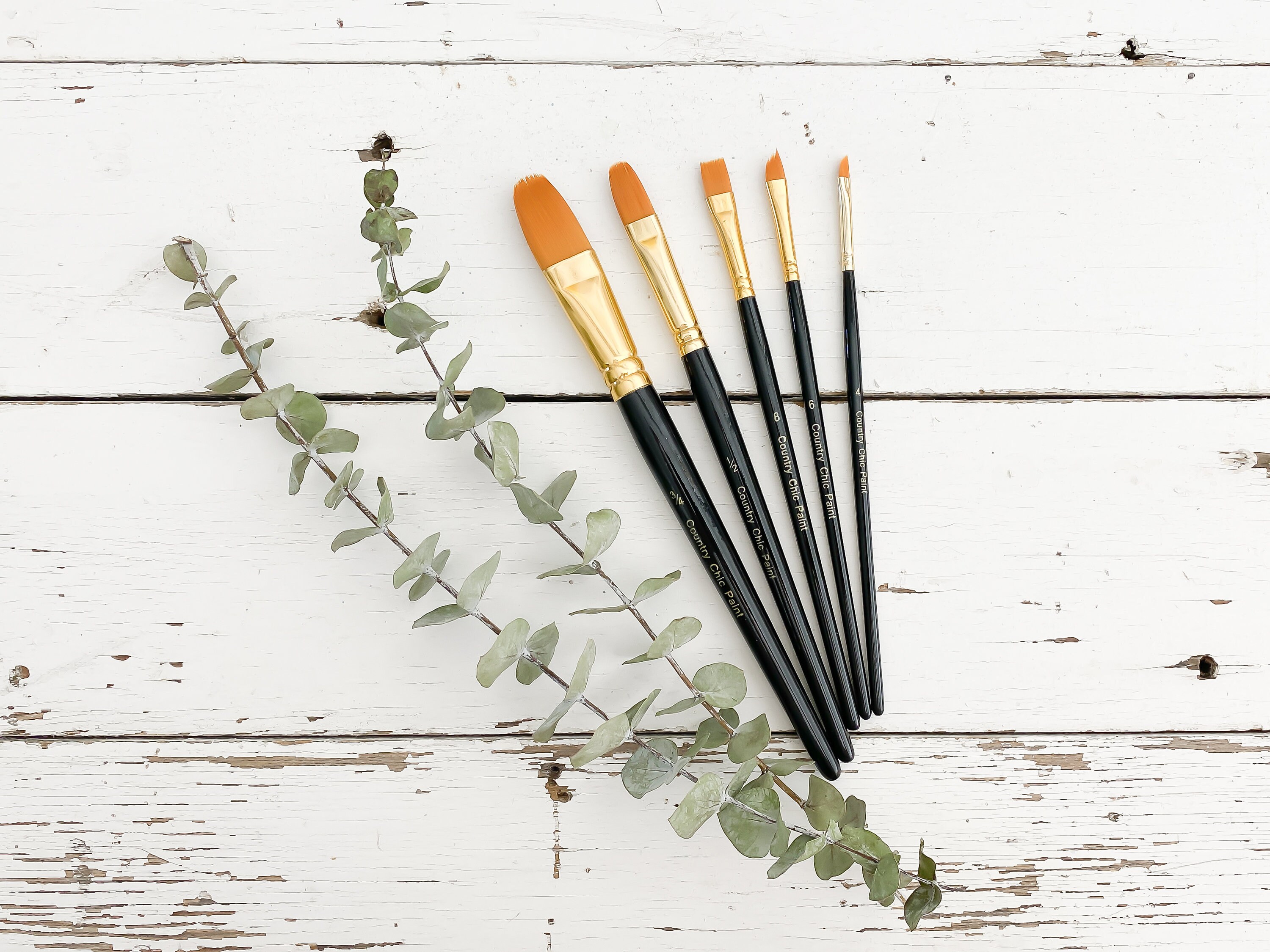 Artist Brushes Country Chic Paint pack of 5 - Etsy
