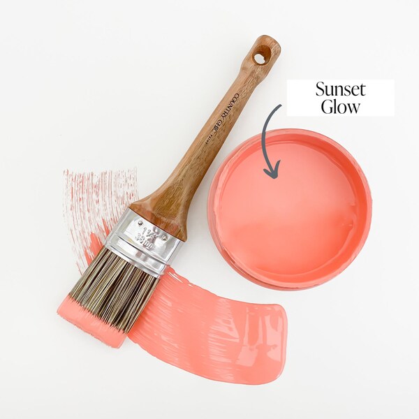 Coral Paint - Etsy