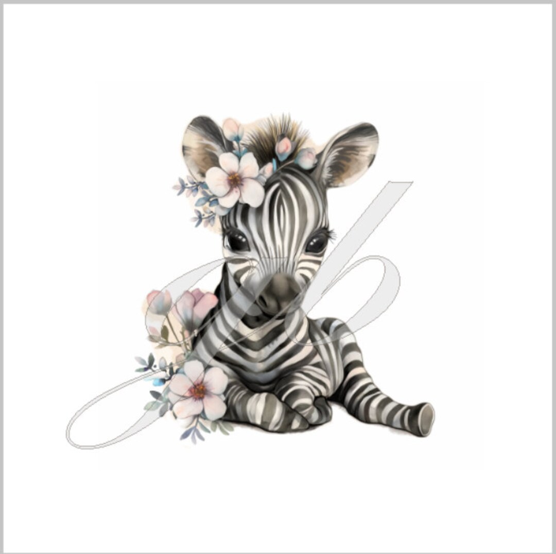 Watercolor Baby Zebra Florals PNG ONLY, Sublimation Prints, Wall Prints ...