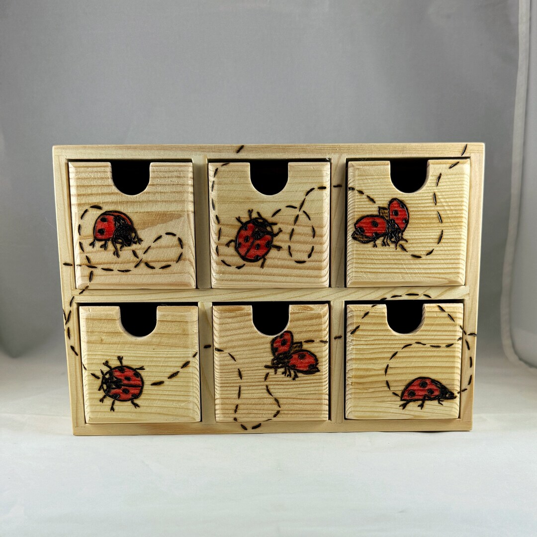 Ladybugs Flying Wood Burned Organizer W 6 Drawers, Wood Burn Art ...
