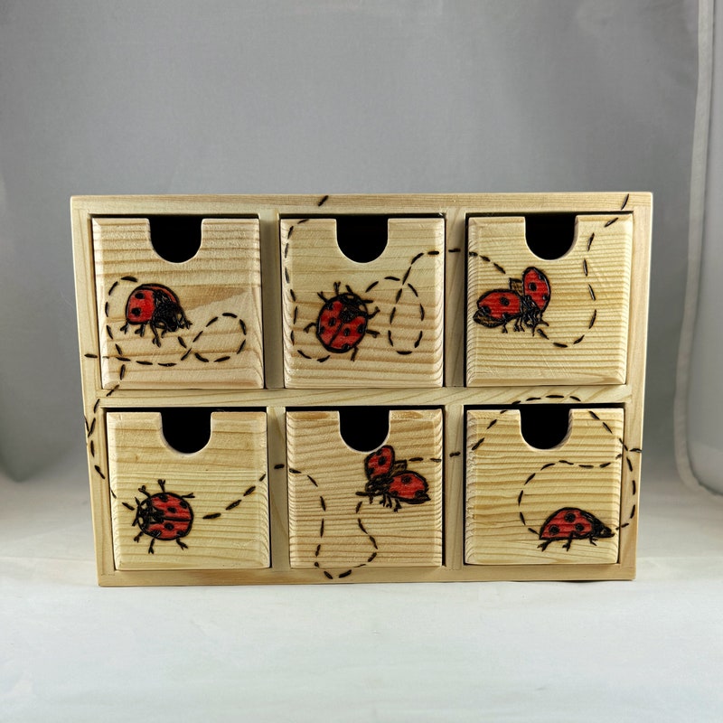 Miraculous Ladybug Jewelry Box - Etsy