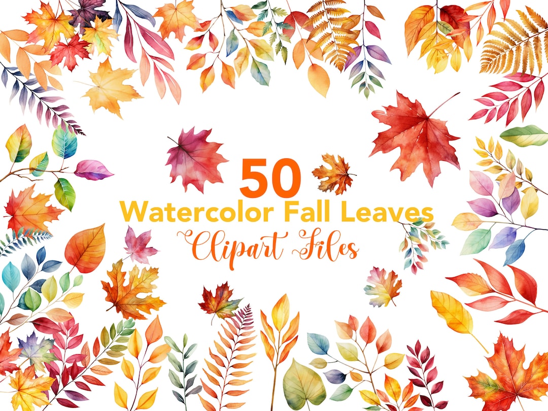 Watercolor Fall Leaves Clipart PNG Files, Digital Download - Etsy