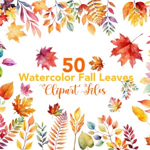 Watercolor Fall Leaves Clipart PNG Files, Digital Download - Etsy