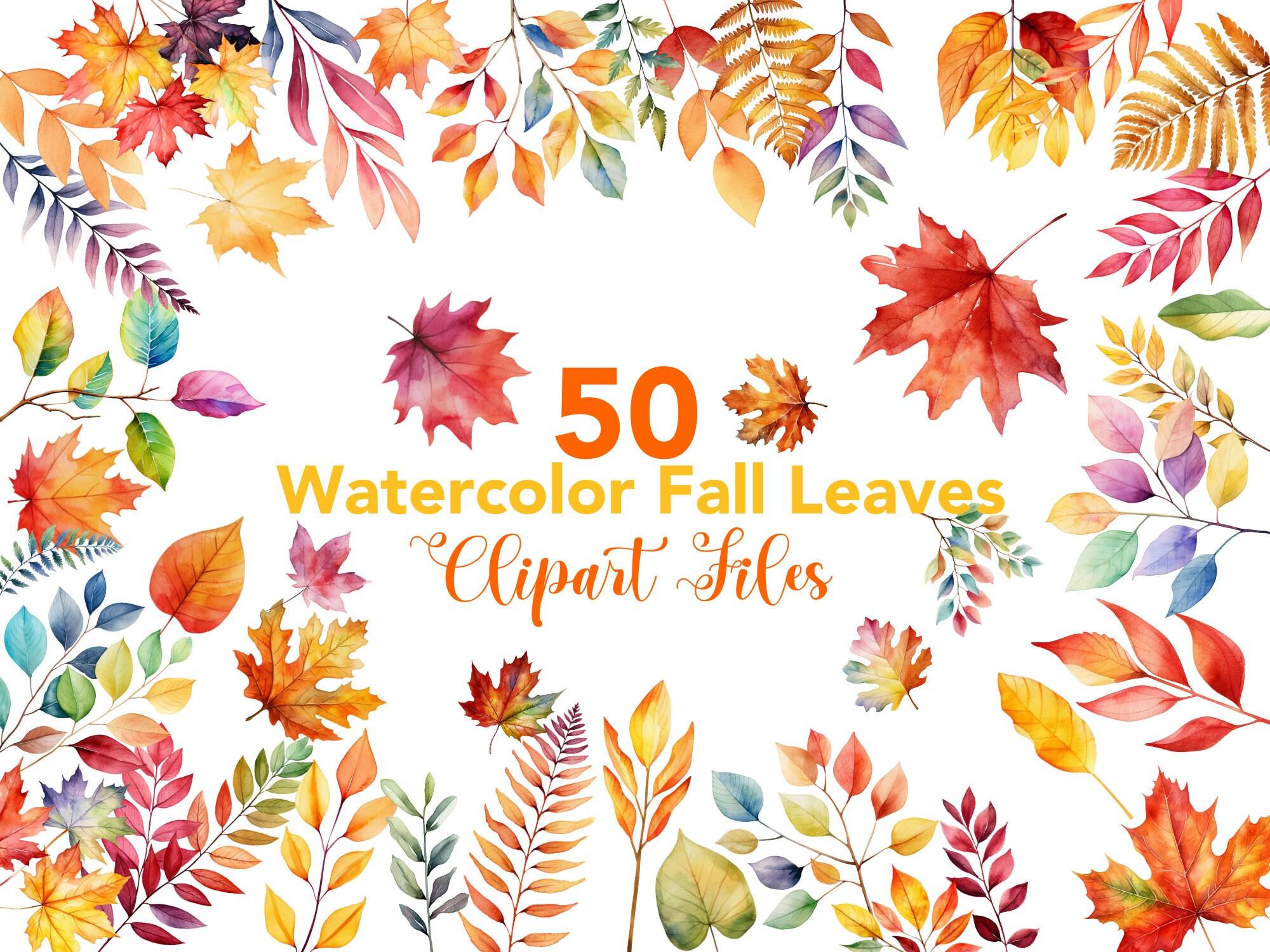 Watercolor Fall Leaves Clipart PNG Files, Digital Download - Etsy