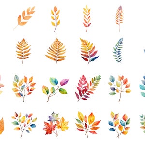 Watercolor Fall Leaves Clipart PNG Files, Digital Download - Etsy