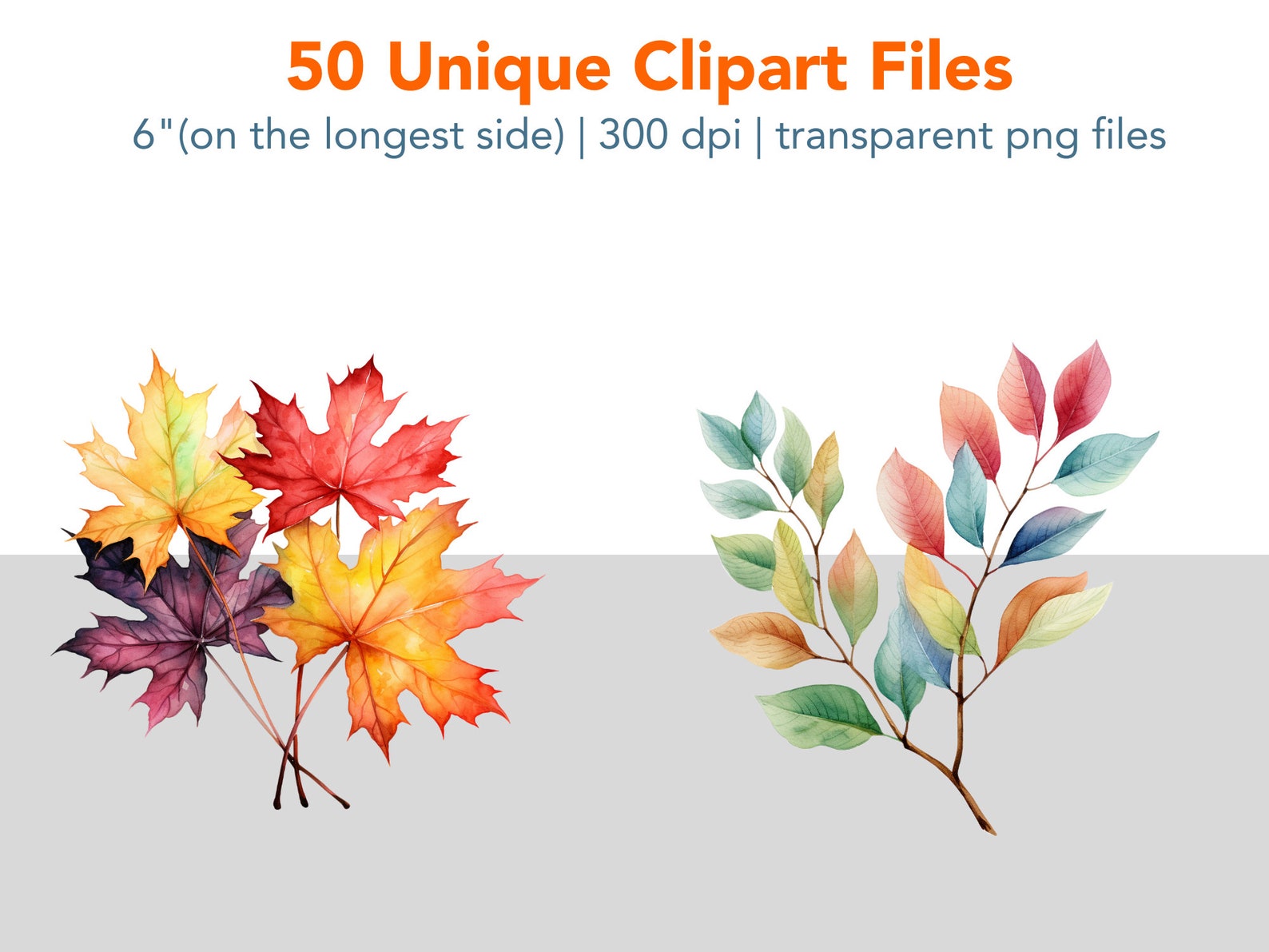 Watercolor Fall Leaves Clipart PNG Files, Digital Download - Etsy