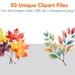 Watercolor Fall Leaves Clipart PNG Files, Digital Download - Etsy