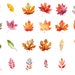 Watercolor Fall Leaves Clipart PNG Files, Digital Download - Etsy
