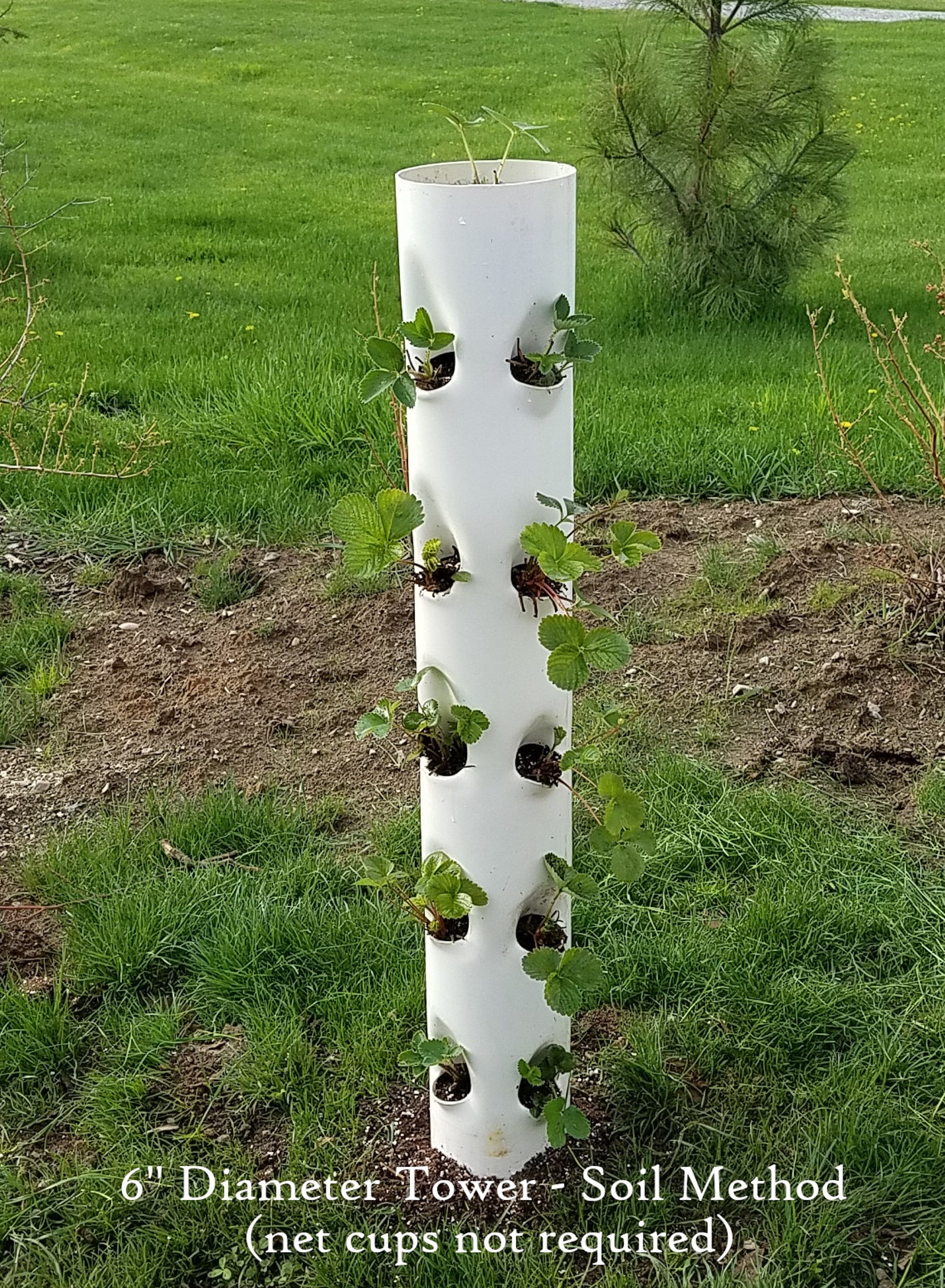 Diy Vertical Pvc Strawberry Tower Planter Instruction - vrogue.co Diy Vertical Pvc Strawberry Tower Planter Instruction - vrogue.co