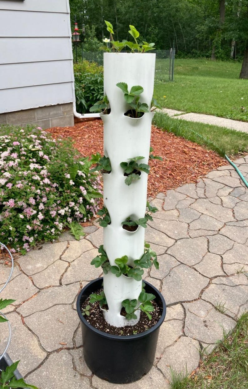 Vertical Strawberry Planter Micro Garden PVC Tower for Soil | Etsy Vertical Strawberry Planter Micro Garden PVC Tower for Soil | Etsy