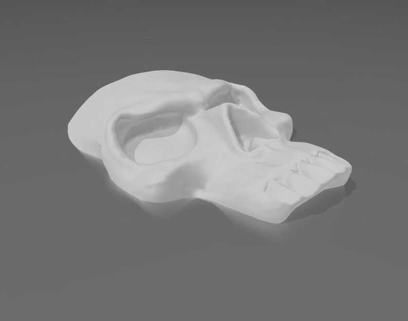 3D Printed Terminator Skull STL File - Etsy