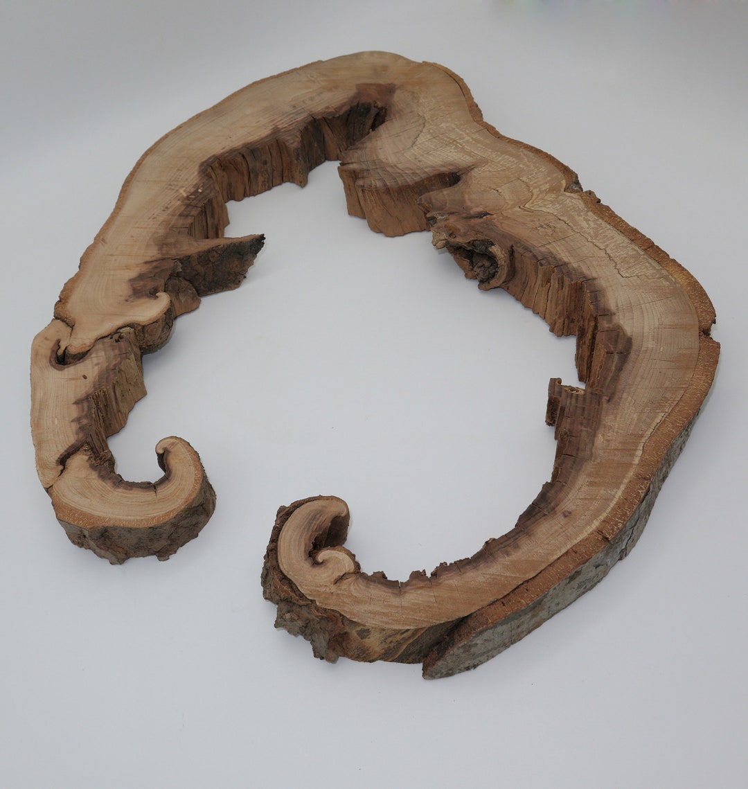 Live Edge Beech Wood Slab for Mirror Frame OR Epoxy Table - Etsy