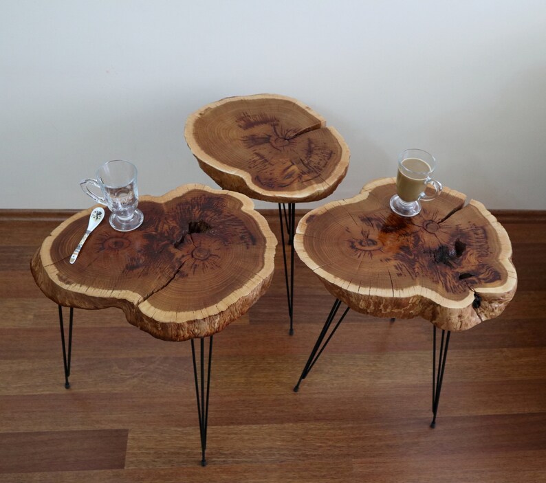 Live Edge Hackberry Tree Amazing Naturally Formed Wood Slice, 3 Piece ...