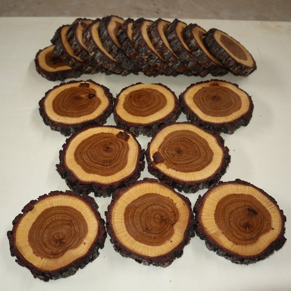 Oak Tree Slice - Etsy