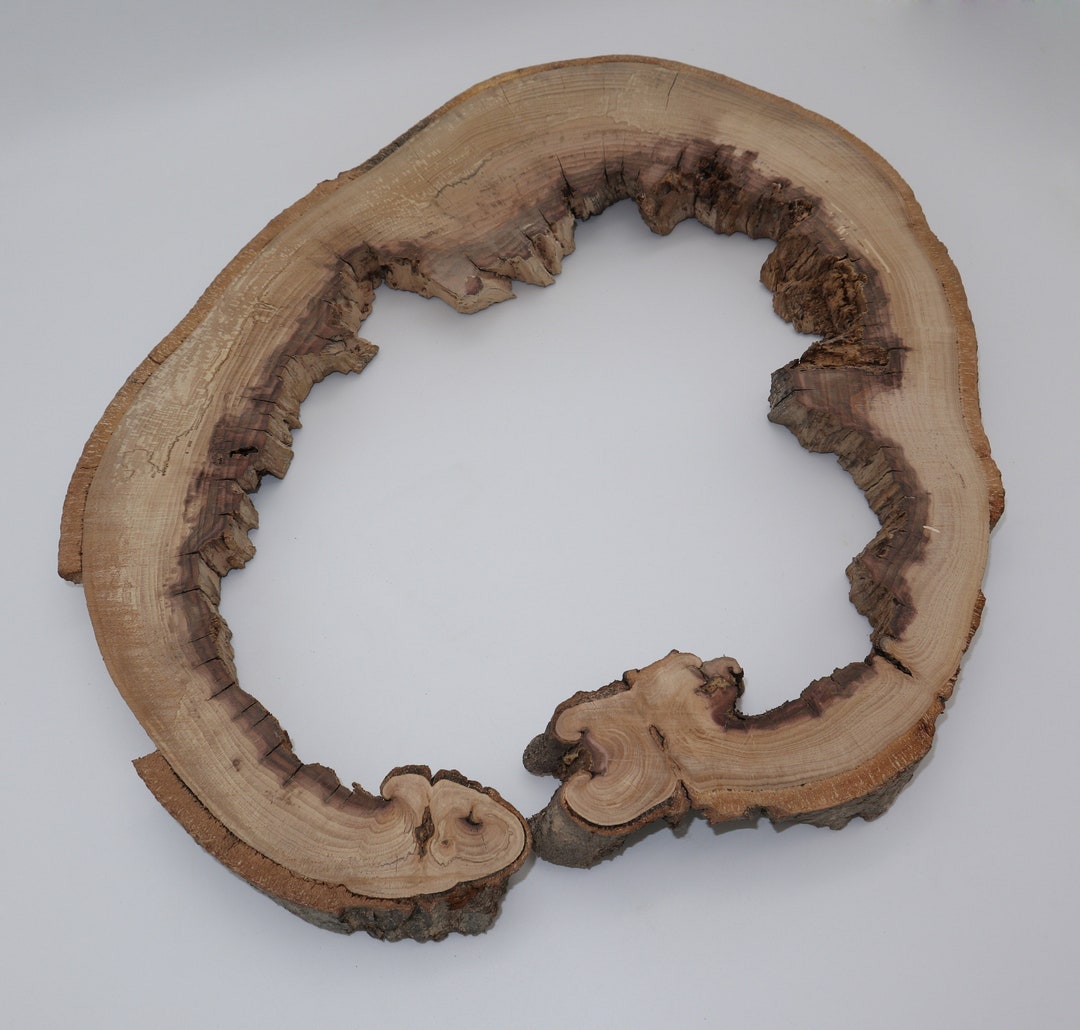 Live Edge Beech Wood Slab for Mirror Frame OR Epoxy Table - Etsy