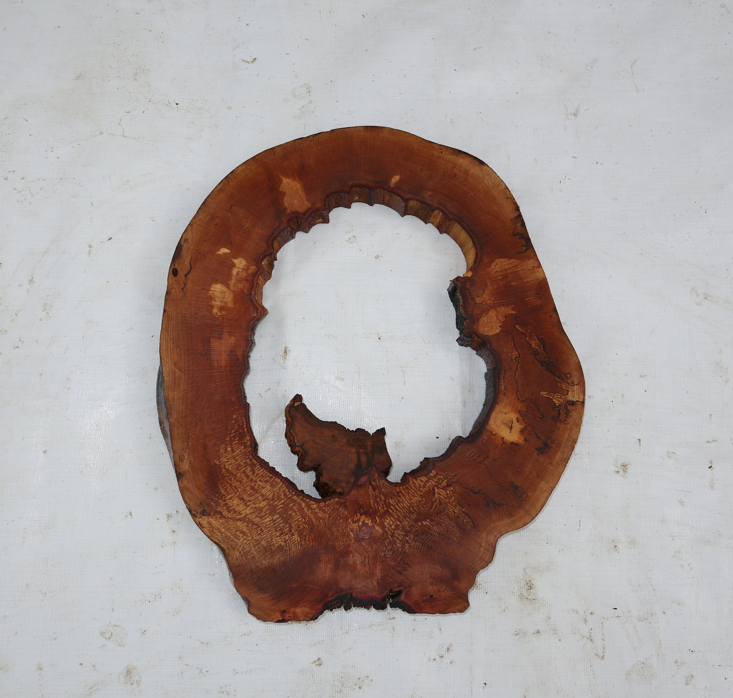 Live Edge Beech Wood Slab for Mirror Frame OR Epoxy Table - Etsy