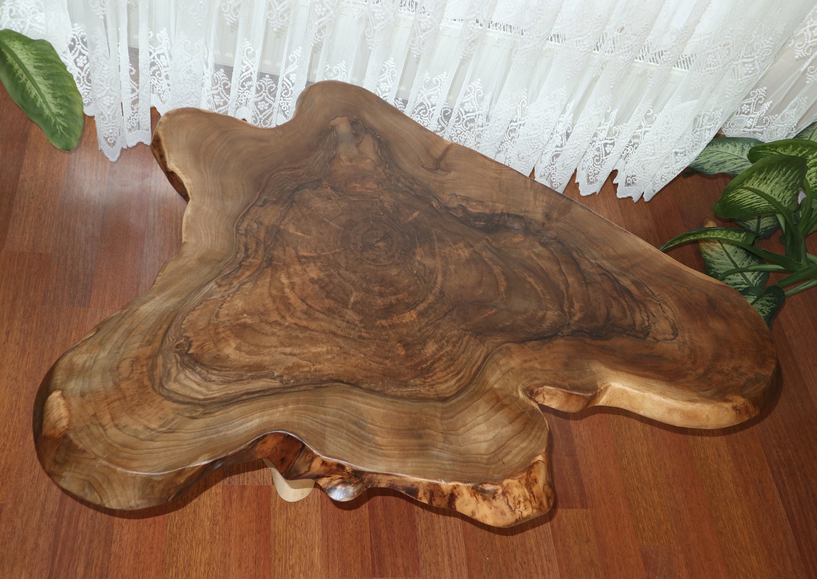 Live Edge Walnut Tree Root Amazing Naturally Form Wood Slice | Etsy