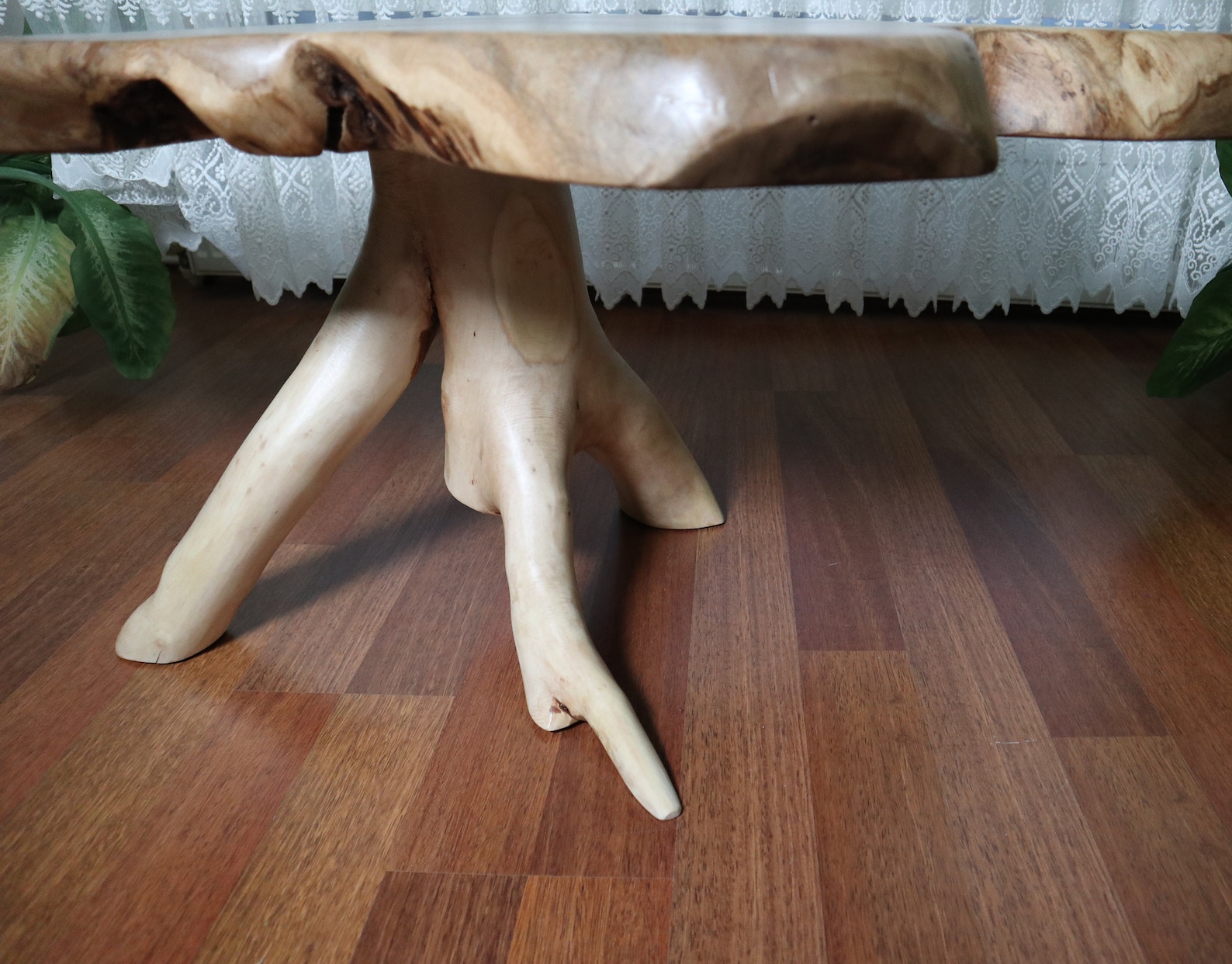 Live Edge Walnut Tree Root Amazing Naturally Form Wood Slice | Etsy