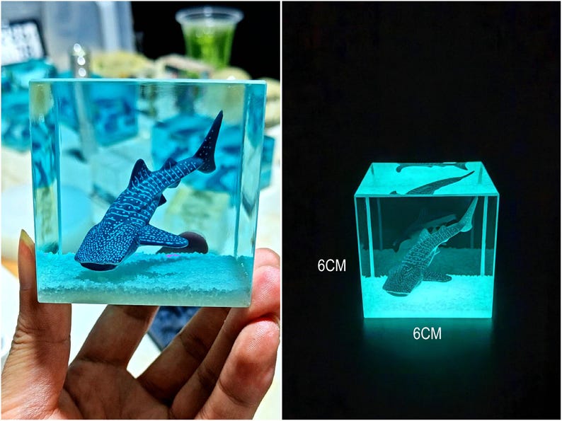Whaleshark Resin Diorama, Glow-in-dark Ocean Art, Scuba Diver Gift ...