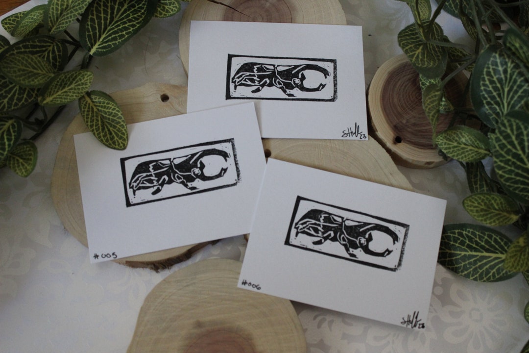 Stag Beetle - Mini Eraser Print - Etsy
