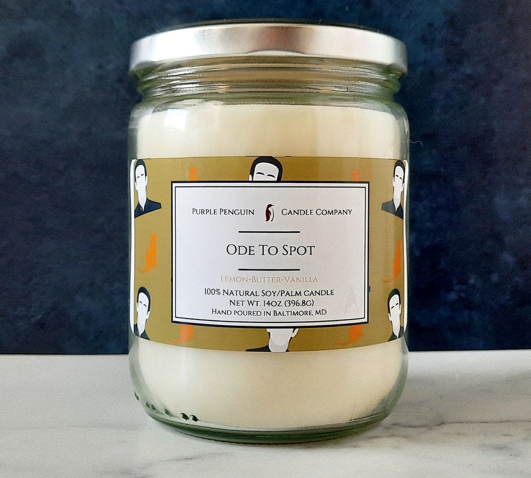 Ode to Spot Data TNG Android Startrek Gift Enterprise Candle Wax Melt ...