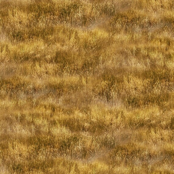 Greener Pastures Brown Grass by Jennifer Pugh Wilmington - Etsy