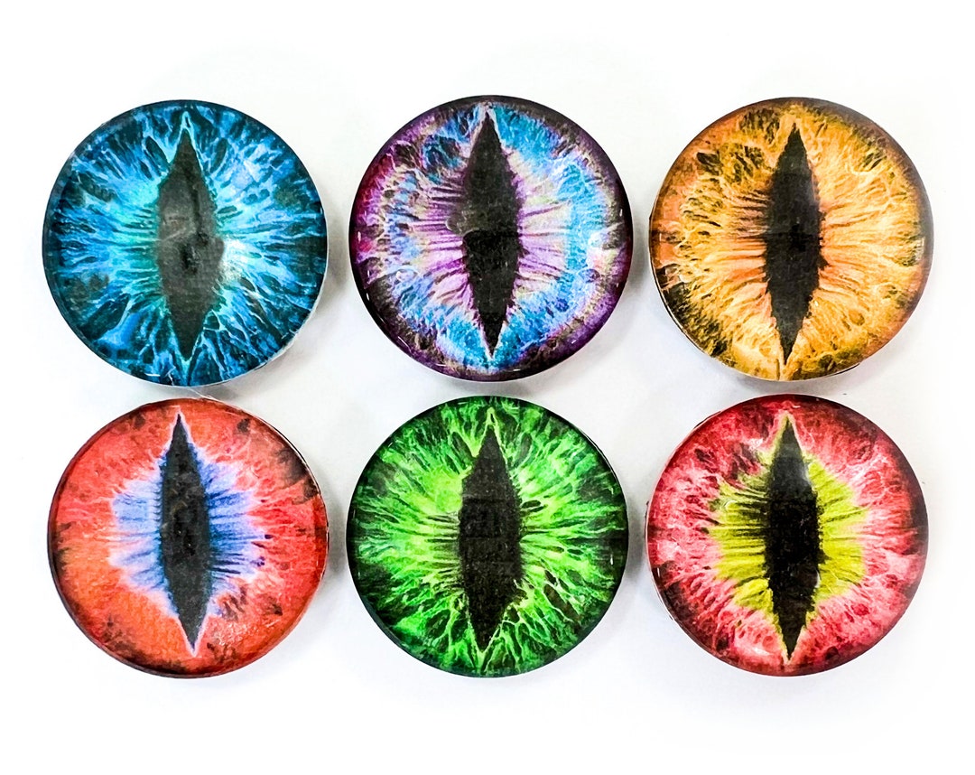 Monster Eye Magnet Set Dragon Eyes 6-piece 1 Round - Etsy