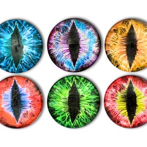 Monster Eye Magnet Set - Dragon Eyes - 6-piece 1" Round Glass Magnets ...