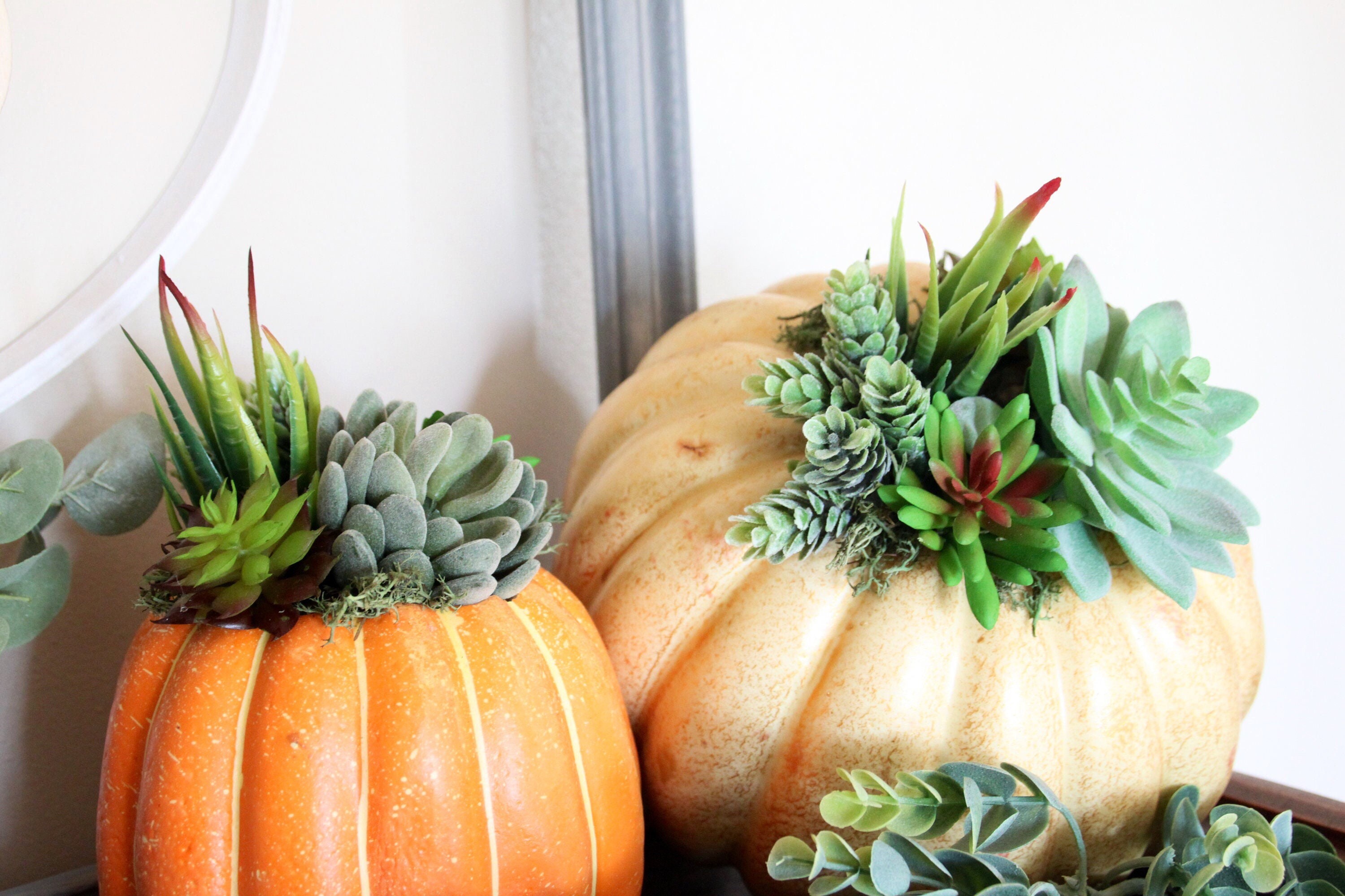 Fall Pumpkin Decor With Succulents - Etsy