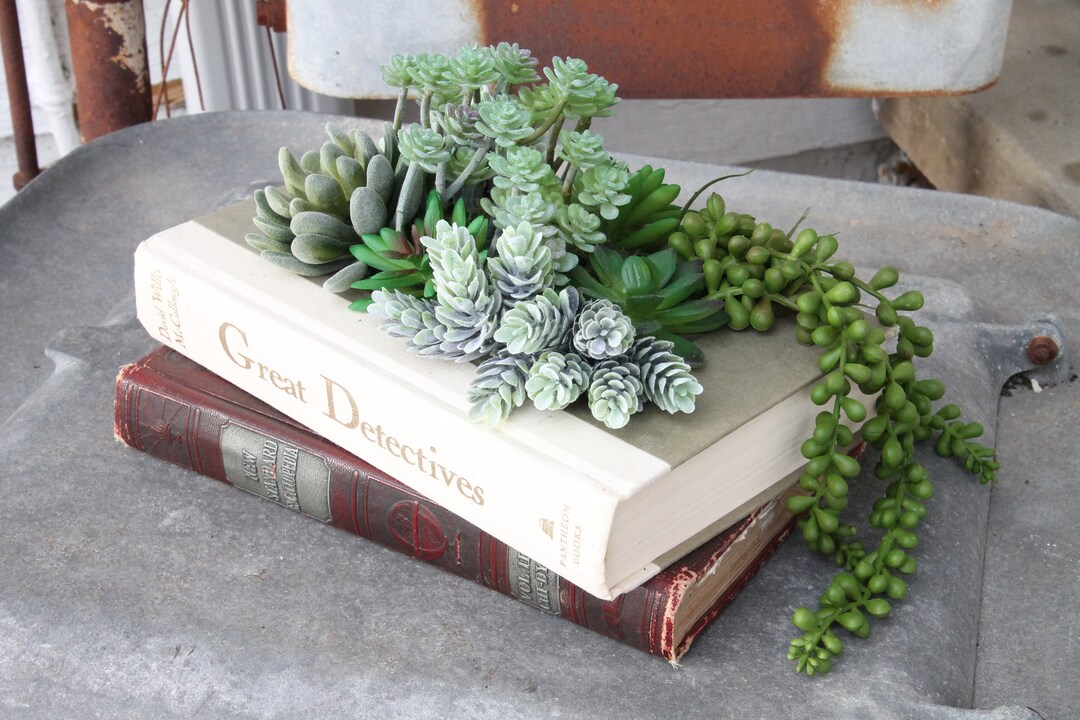 Accent Books With Realistic Succulents - Etsy