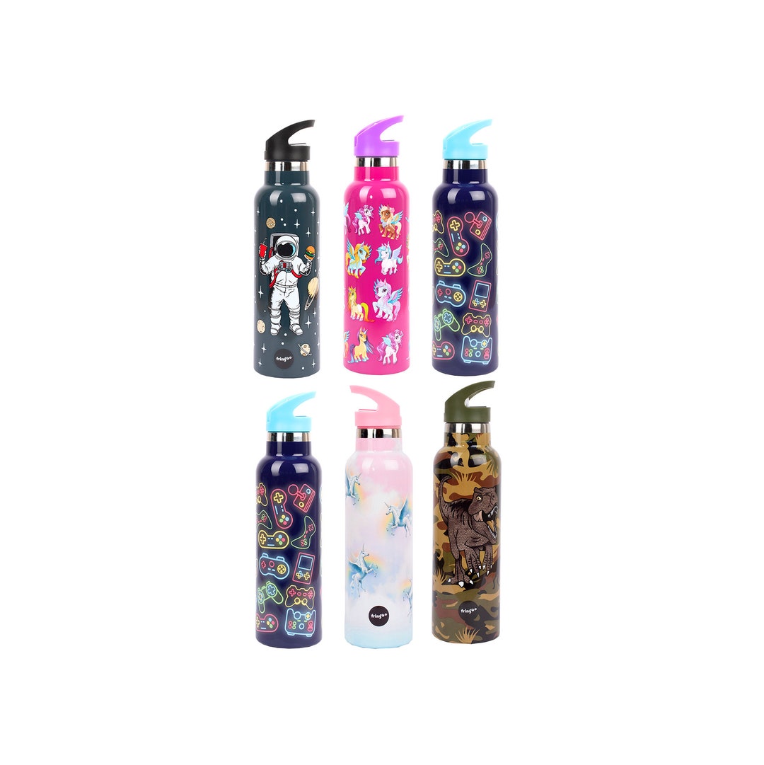 Fringoo Stainless Steel Water Bottle 600ml With Straw BPA - Etsy UK