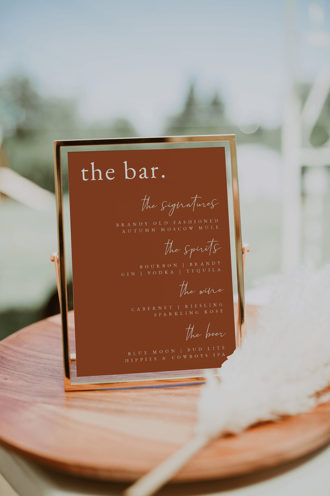 Terracotta Bar Menu Sign Template Wedding Drinks Menu | Etsy