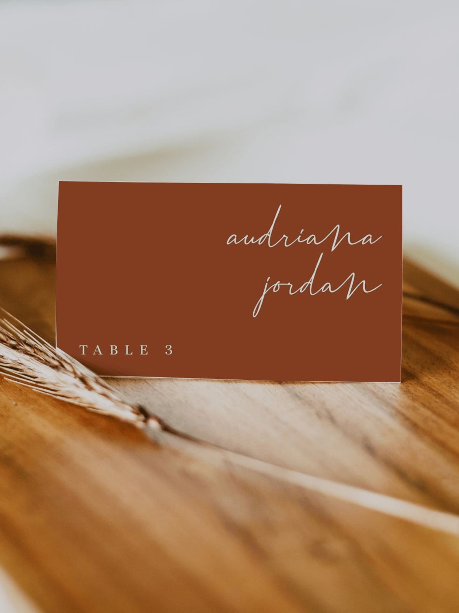 Terracotta Place Card Template — Printable Boho Wedding Place Cards ...