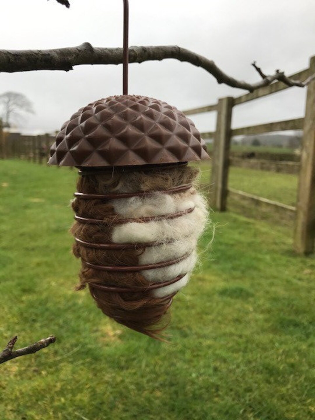 Acorn Nesting Material Holder - Etsy