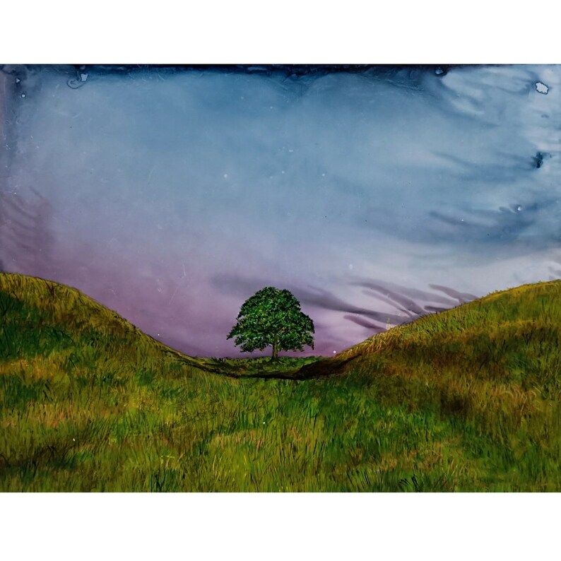 Sycamore Gap Tree Original Painting, Northumberland Landscape Art ,UK ...