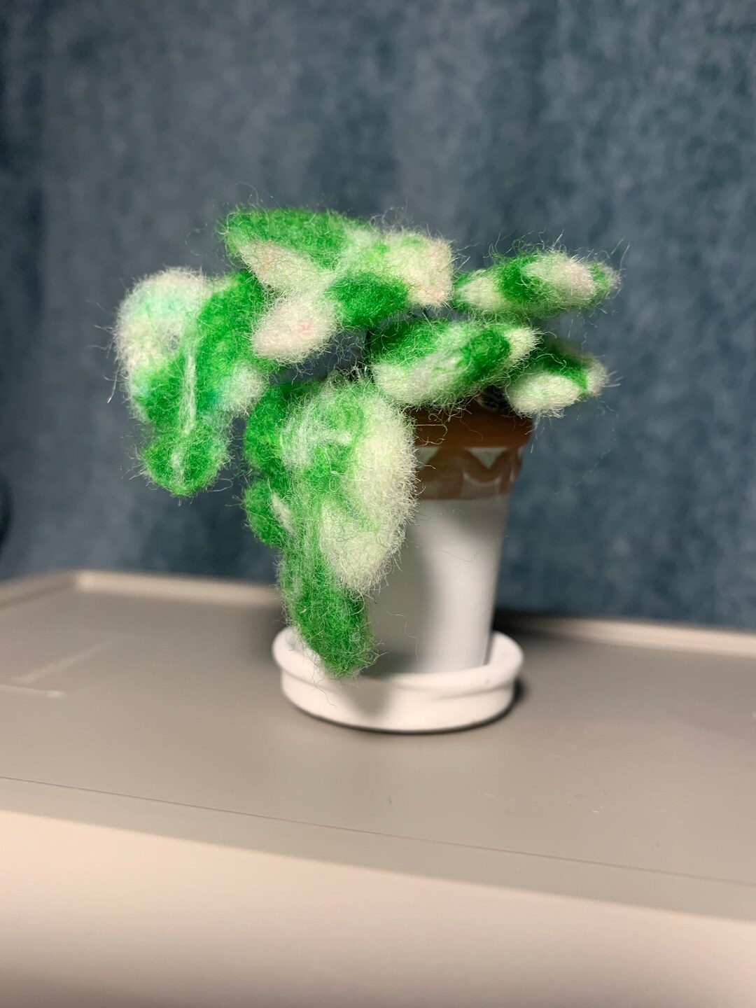 Felt Mini Variegata Monstera - Etsy