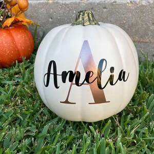 Family Pumpkin Decor Bundle, Fall Decor, Personalized Pumpkin Decor ...